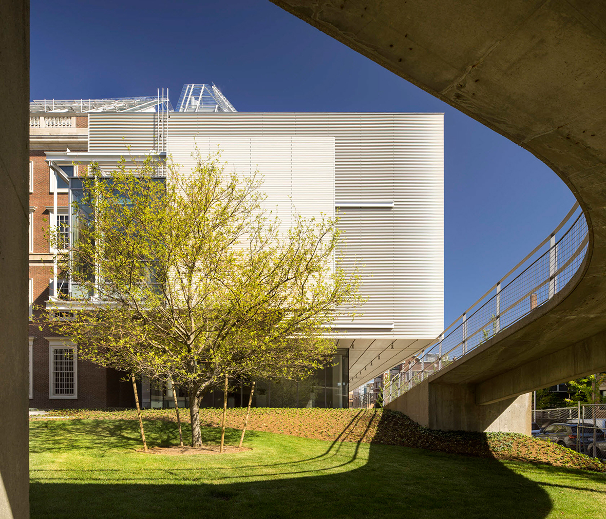 Opening Harvard Art Museums Renovation And Expansion By Renzo Piano