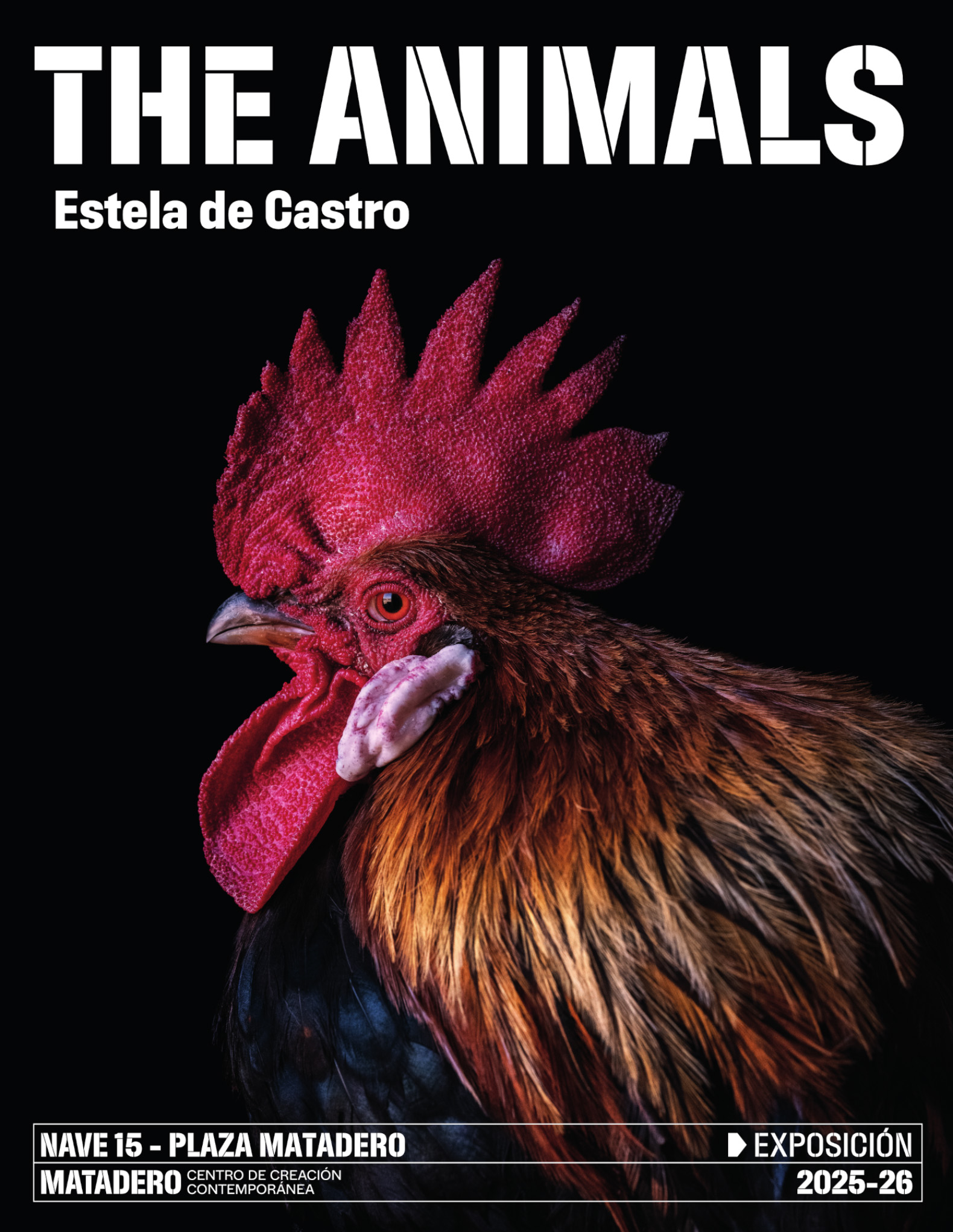 «The Animals» por Estela de Castro, en la fachada de Nave 15 de ...