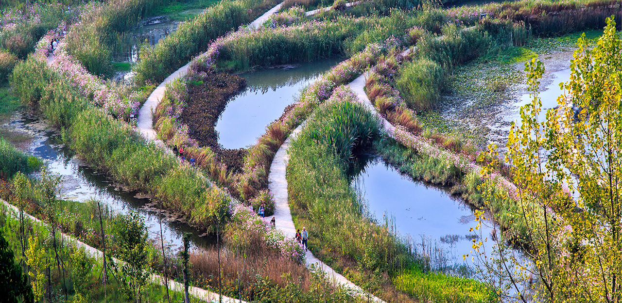 Parque de humedales Liupanshui Minghu por Turenscape | METALOCUS