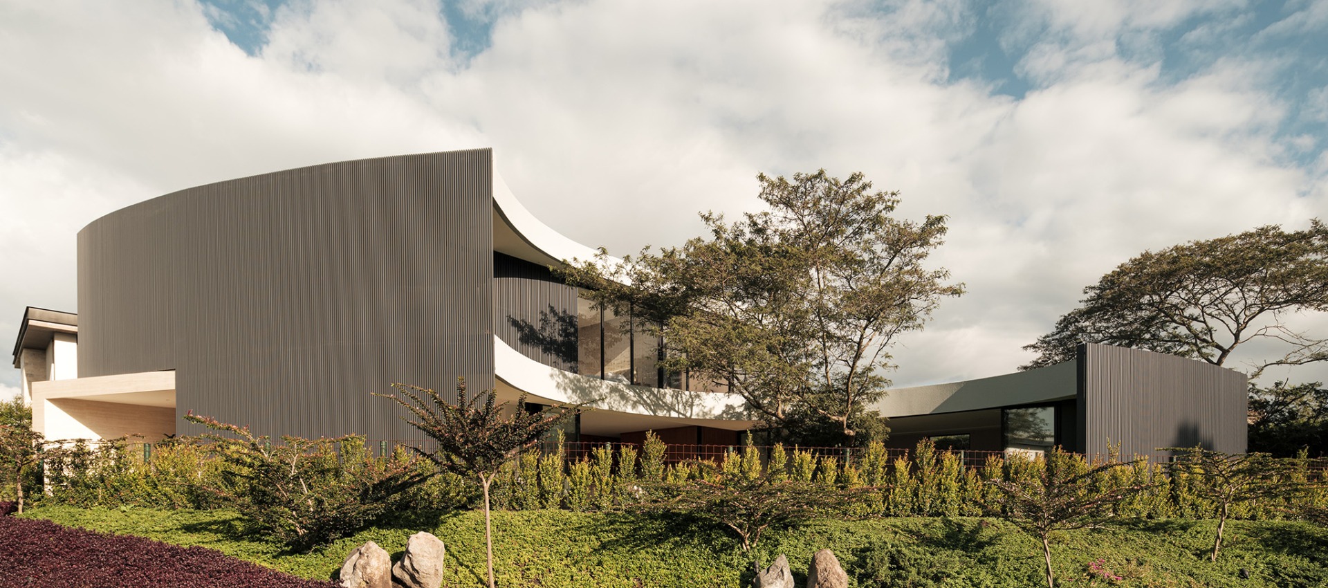 Hugging the tree. Casa Riba by TEC Taller EC | METALOCUS