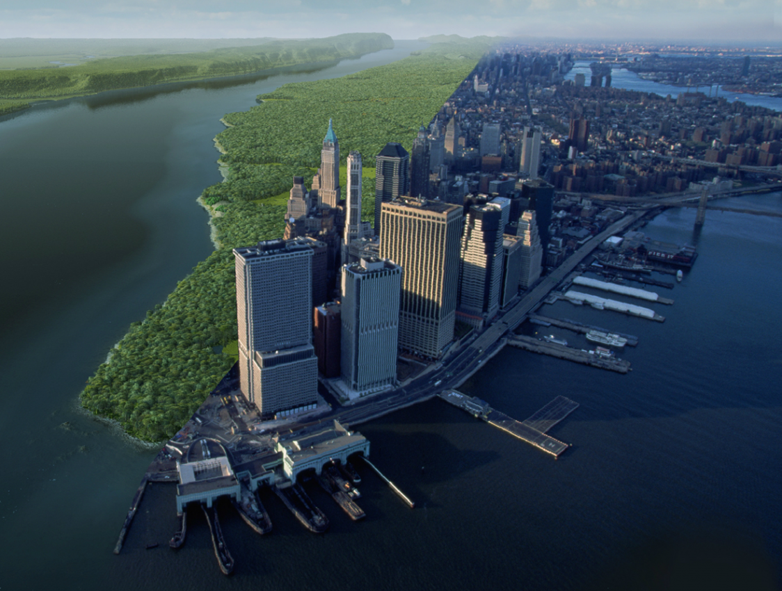 Manhattan, a forest before a crystal jungle | The Strength of ...