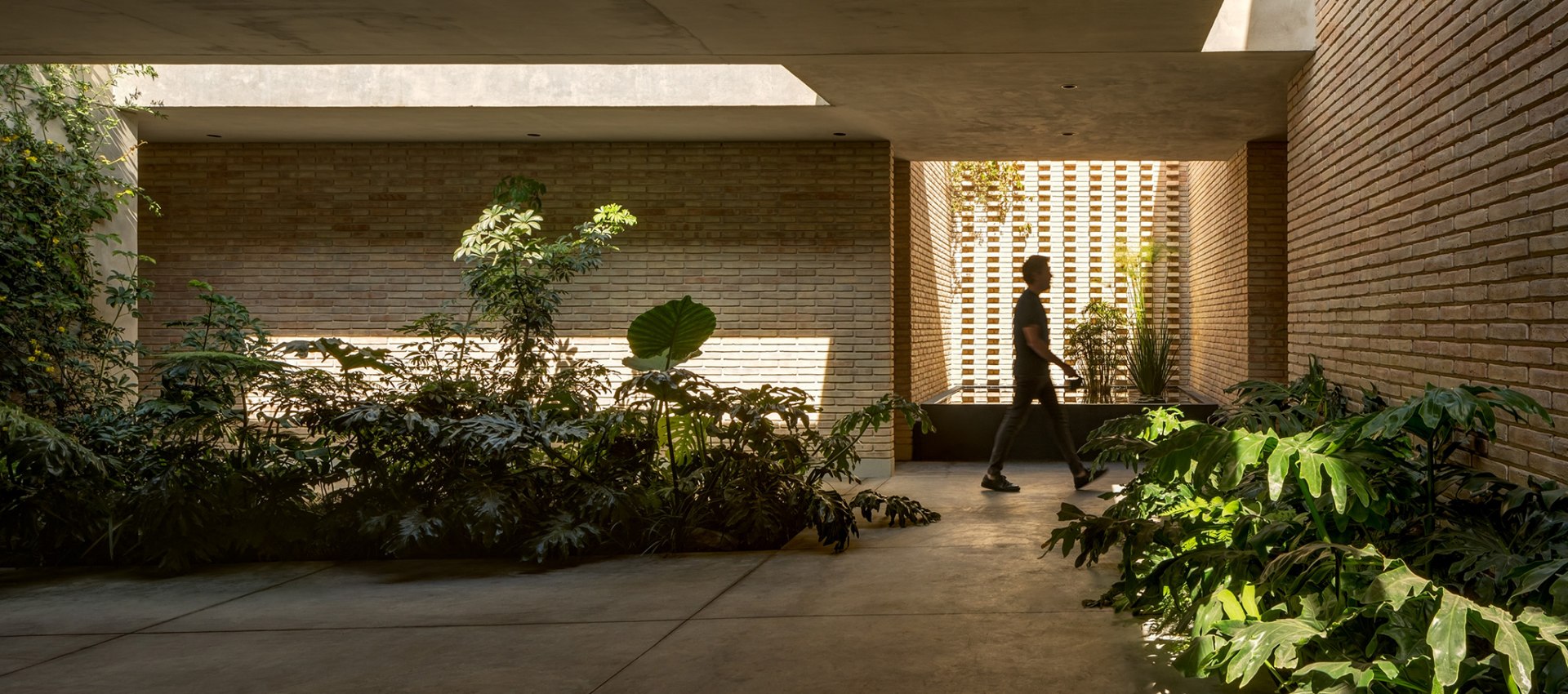 Vida a través de los patios interiores. Casa Mika 22 por ASP ...