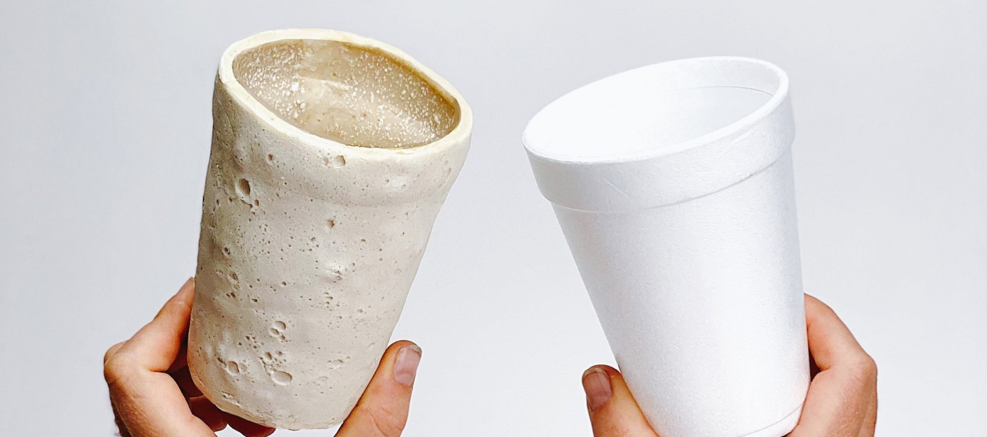 Circular “Chitofoam” system, biodegradable polystyrene from plastic ...