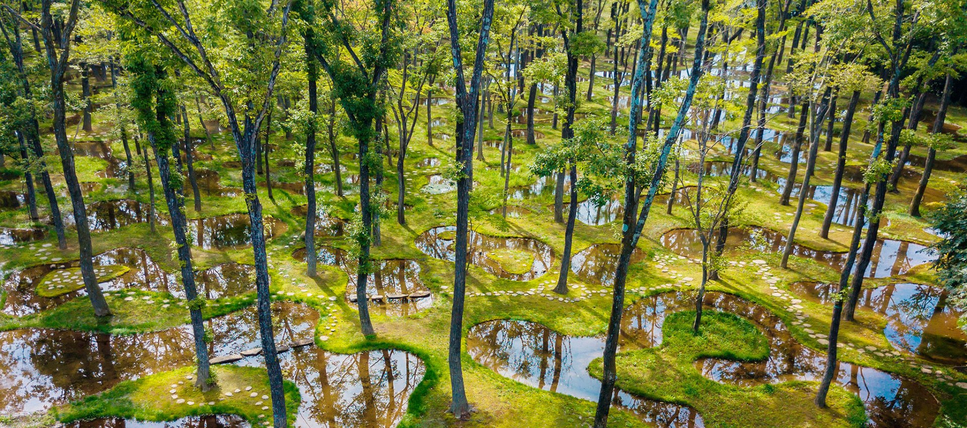 Stunning Japanese Landscape. The Water Garden by Junya Ishigami | The ...