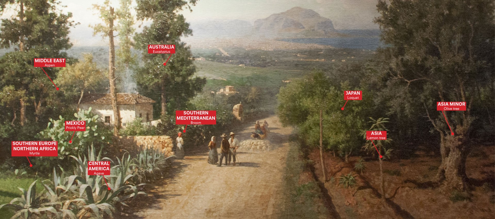 Concept for Manifesta 12 Palermo: "The Planetary Garden. Cultivating ...