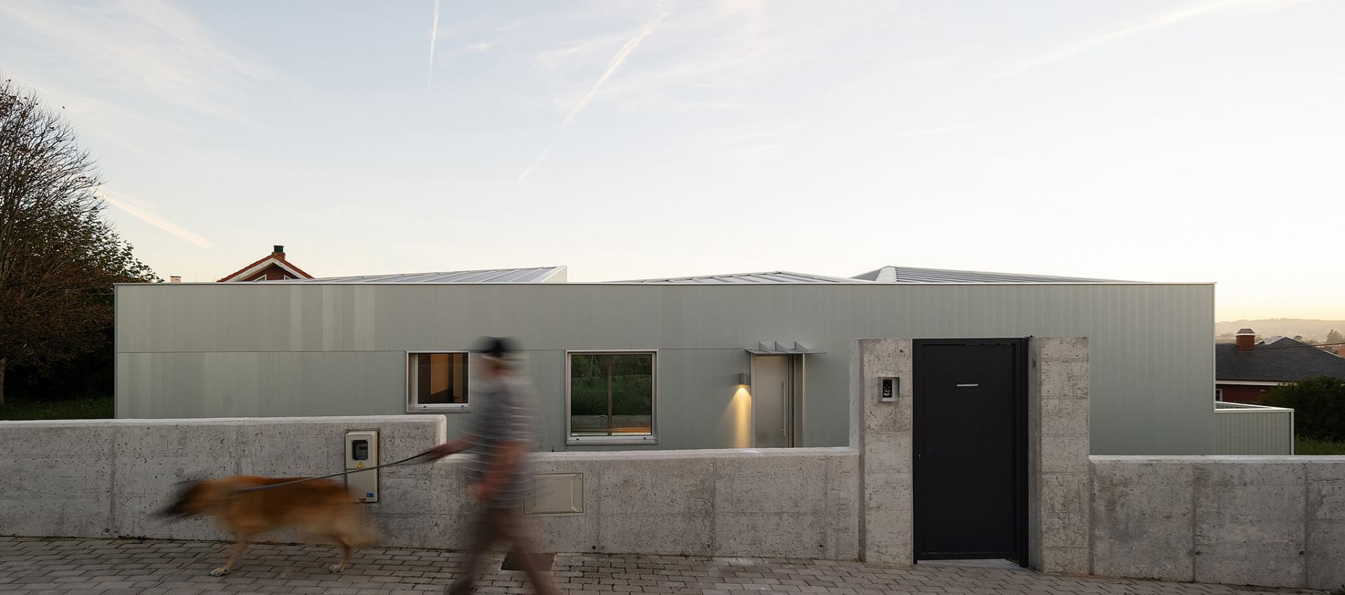 Pez de color plata. Casa Sula por Sukunfuku studio | Sobre Arquitectura ...