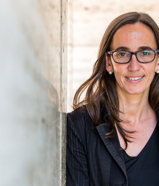 The lives of The Pavillion. Intermitent narration of an essential space ...