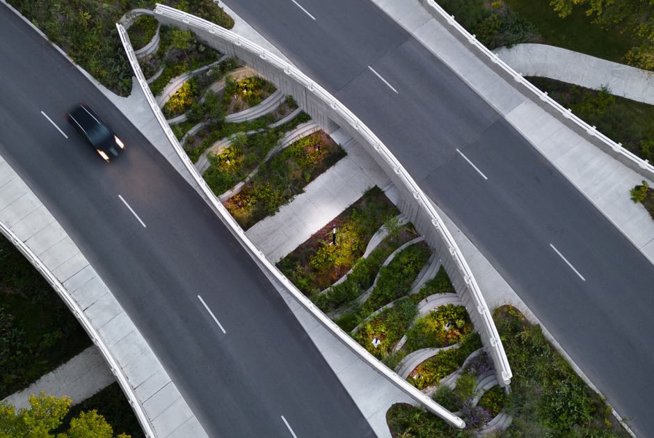 Bridges | The Strength of Architecture | From 1998