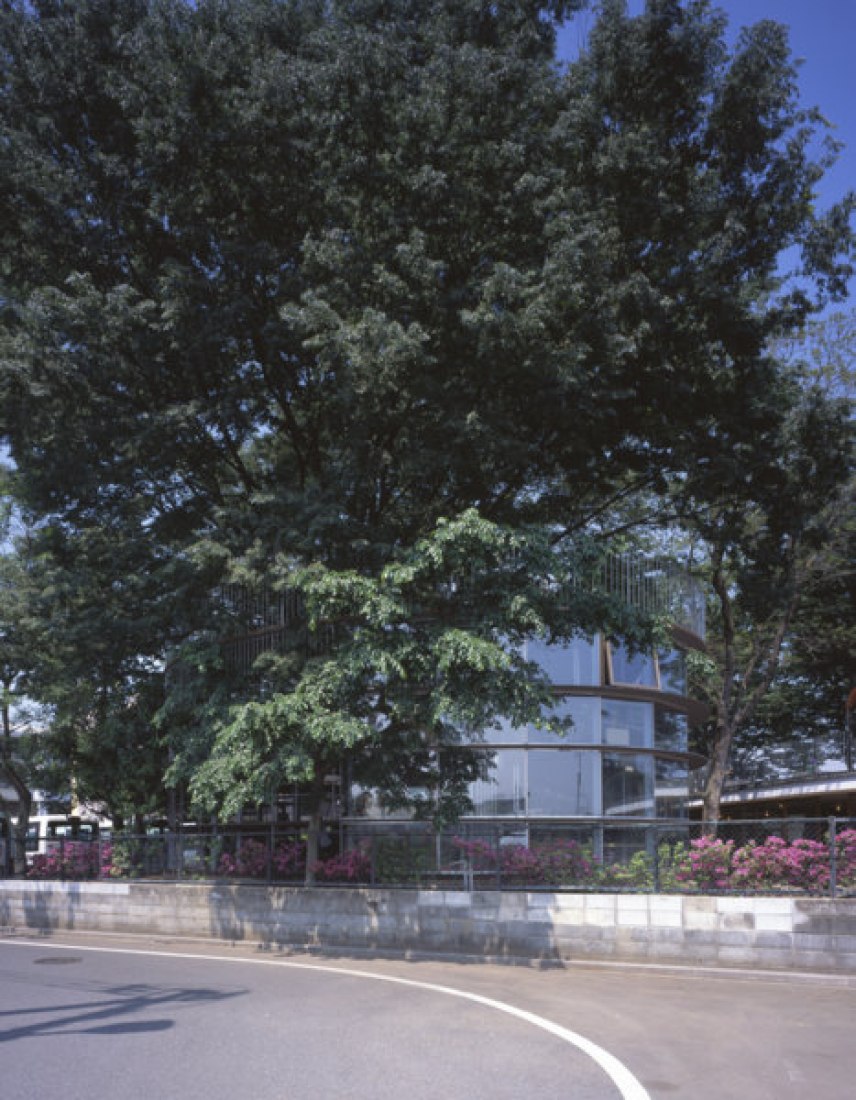 Ring Around a Tree. In Detail | The Strength of Architecture | From 1998