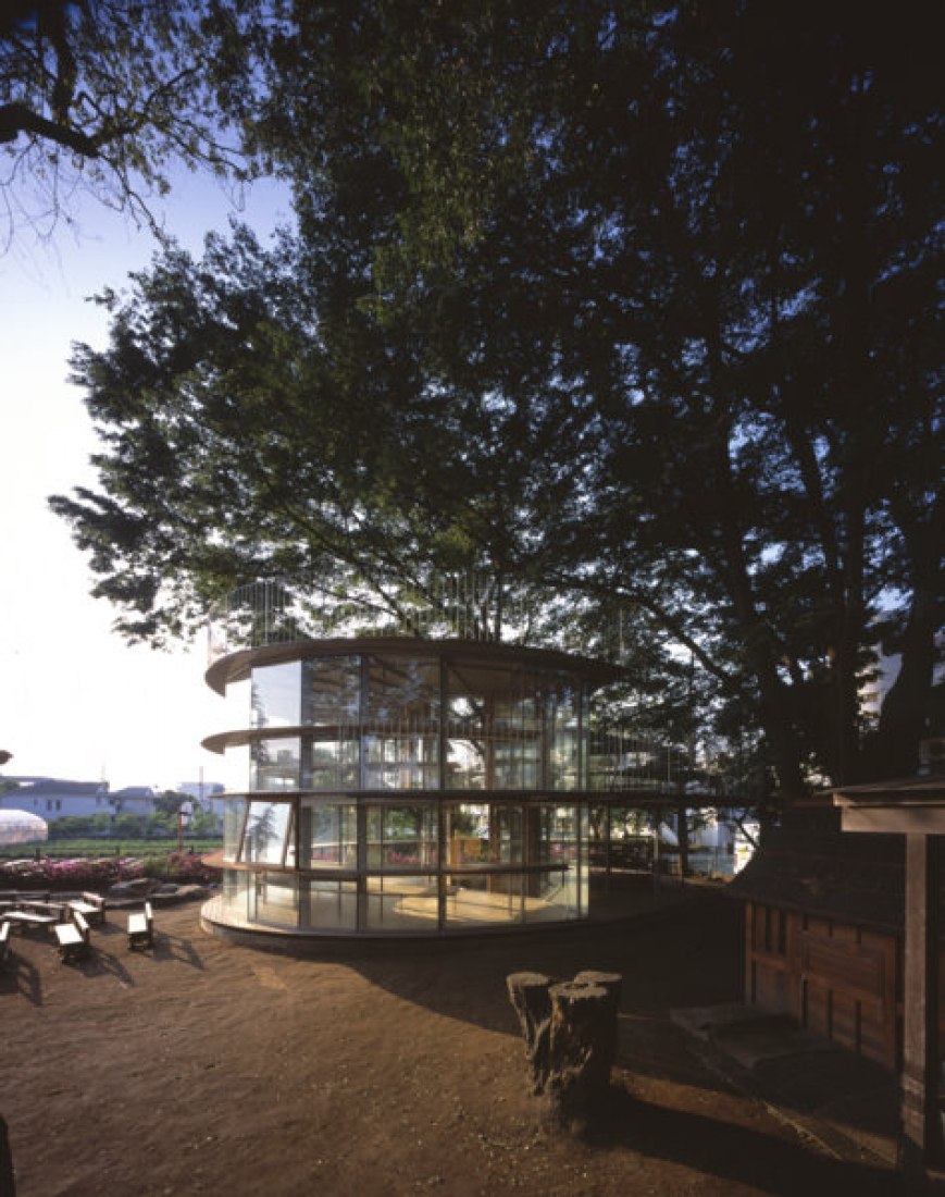 Ring Around a Tree. In Detail | The Strength of Architecture | From 1998