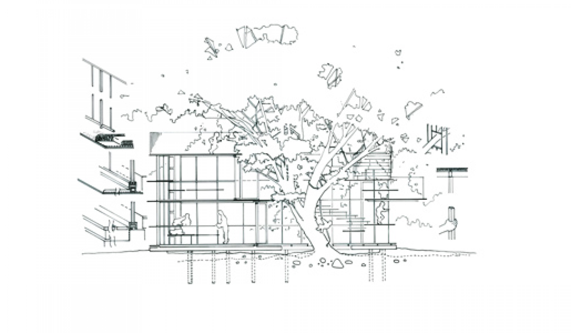 Ring Around a Tree. In Detail | The Strength of Architecture | From 1998