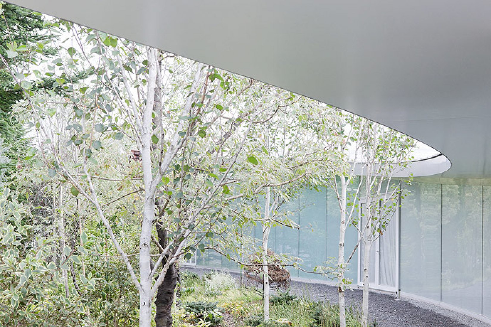 HIROSHI SENJU MUSEUM KARUIZAWA 軽井沢千住博美術館 館長 | The Strength of ...