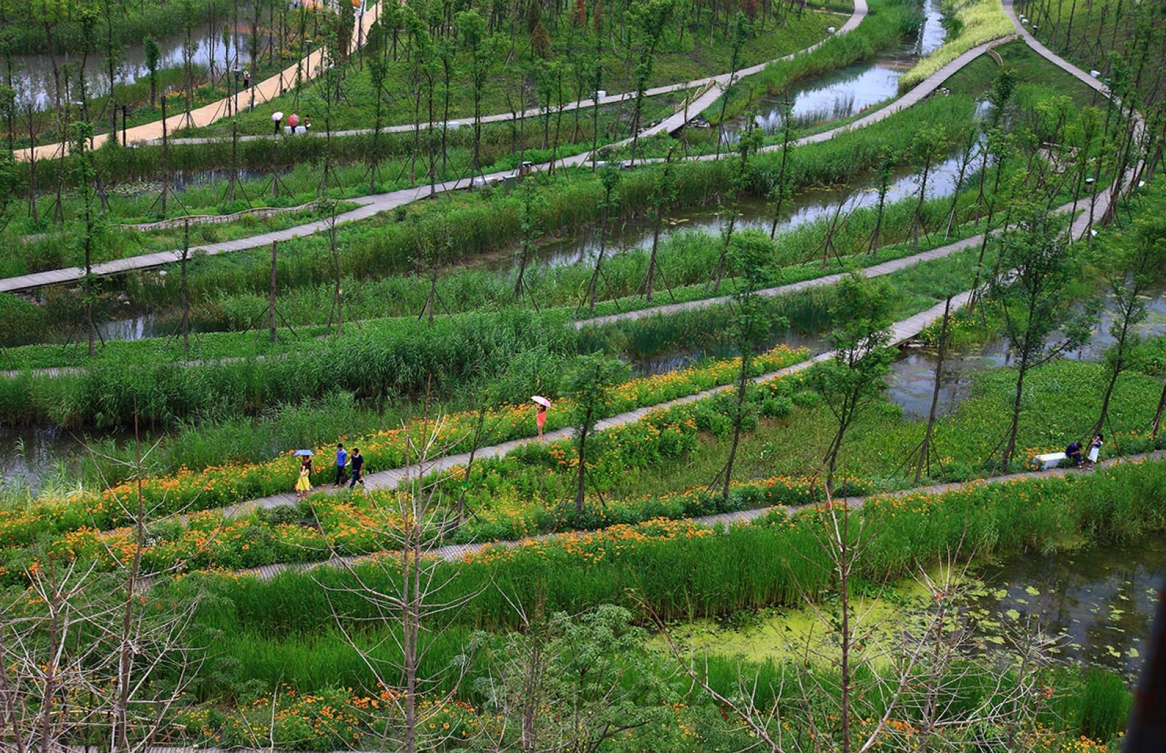 Liupanshui Minghu Wetland Park by Turenscape | The Strength of ...
