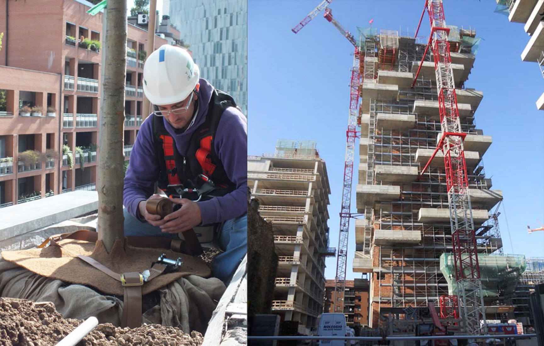 Milan plants a new forest in the sky | The Strength of Architecture ...