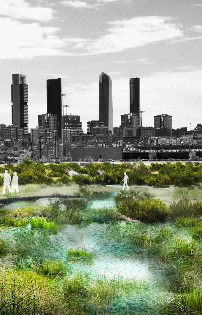 “Madrid + Natural” Arup presenta su visión para un Madrid más verde ...