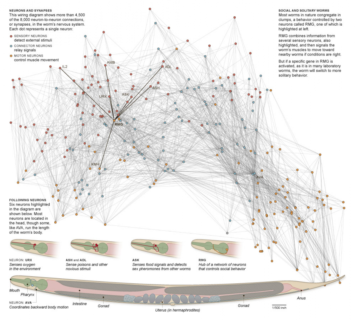 Jonathan Corum, graphics editor | The Strength of Architecture | From 1998