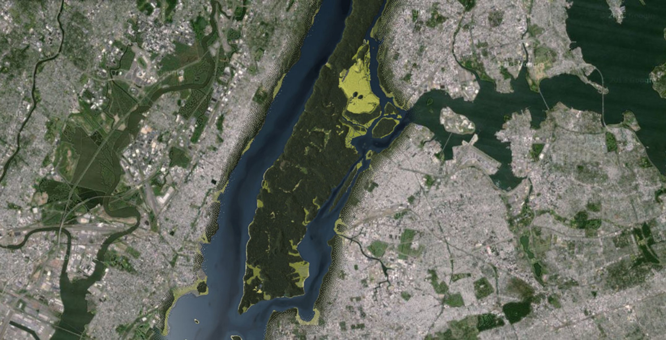 Manhattan, a forest before a crystal jungle | The Strength of ...