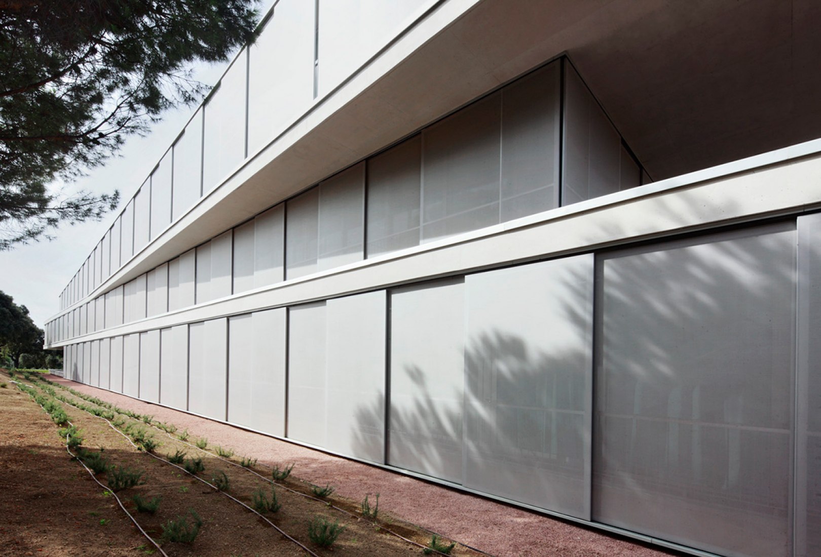 Campus BBVA por Enguita & Lasso de la Vega | Sobre Arquitectura y más ...