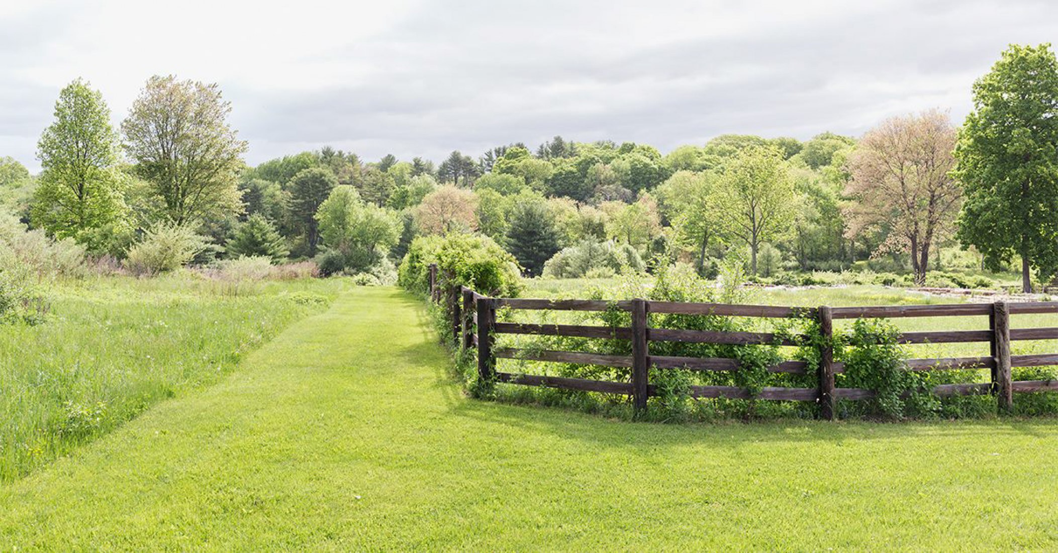 SANAA's meandering river building at Grace Farms set to open | The ...