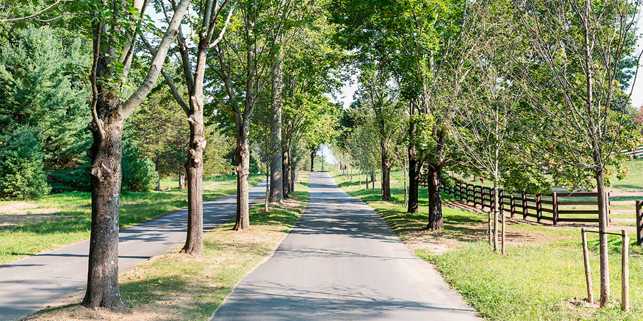 SANAA's meandering river building at Grace Farms set to open | The ...