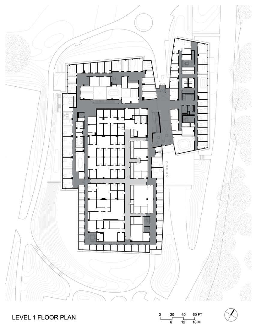 New Peretsman-Scully Hall and Neuroscience Institute | The Strength of ...