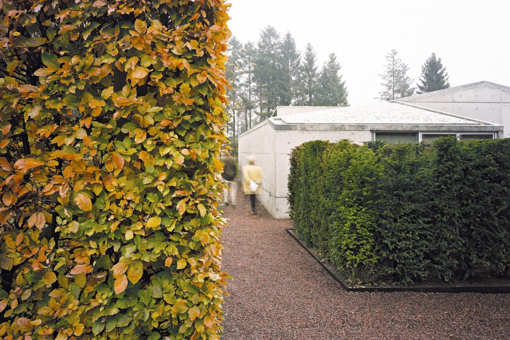 Hedge House by Wiel Arets | The Strength of Architecture | From 1998