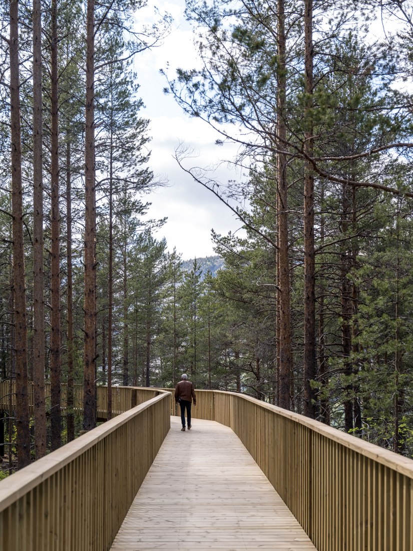 Walkway through the environment. Hamaren Activity Park by EFFEKT | The ...