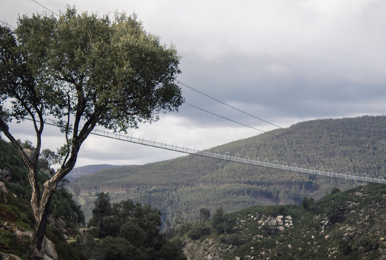 Walking on the tightrope. 516 Arouca, the longest pedestrian suspension ...