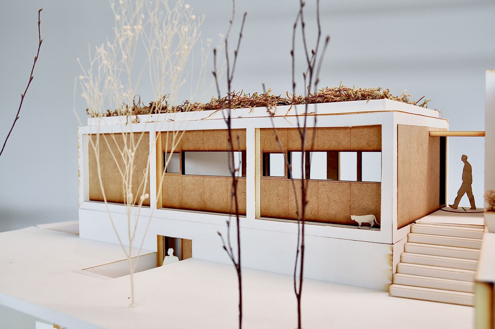 A house within another. MM house by Alventosa Morell Arquitectes | The ...