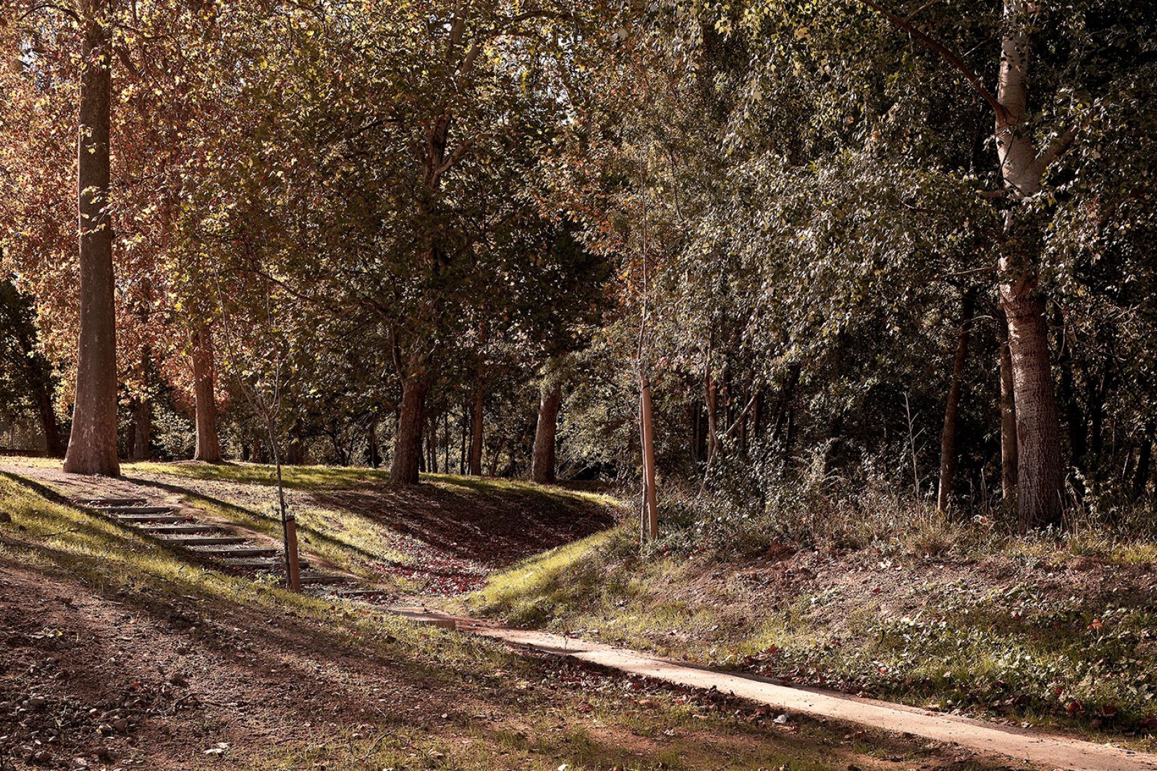 Aranzadi's Meander Park by aldayjover Architecture and Landscape | The ...