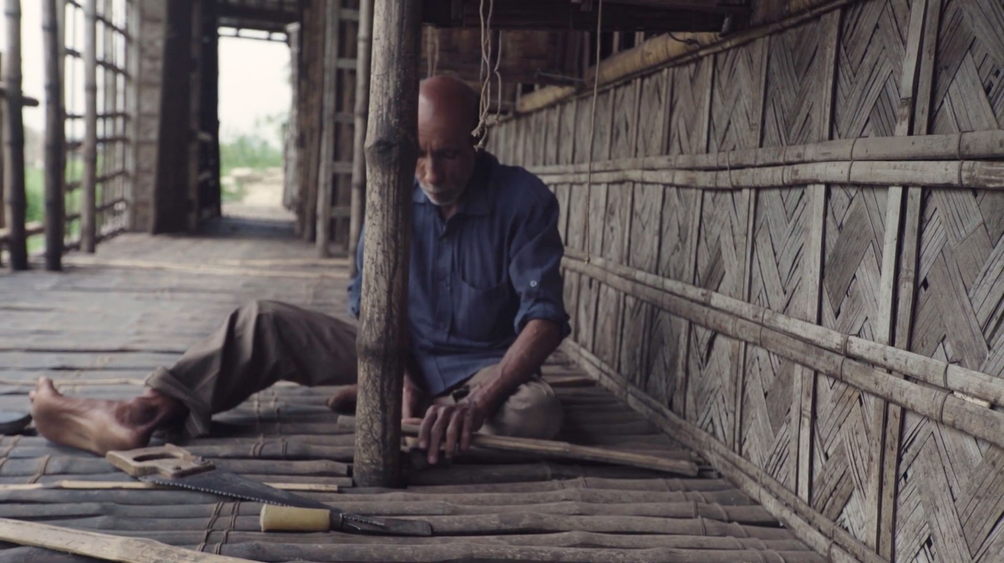 Amphibious modules. Arcadia Education Project, by Saif Ul Haque | The ...