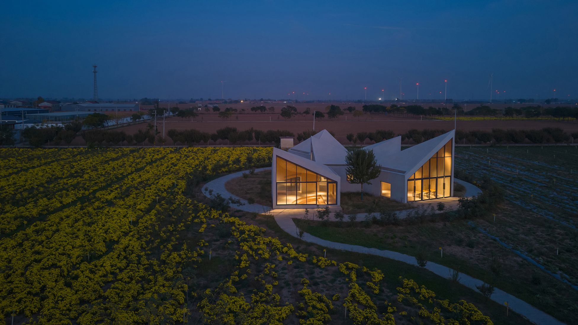 Cultivando conocimiento. Biblioteca en un campo helado de crisantemos ...