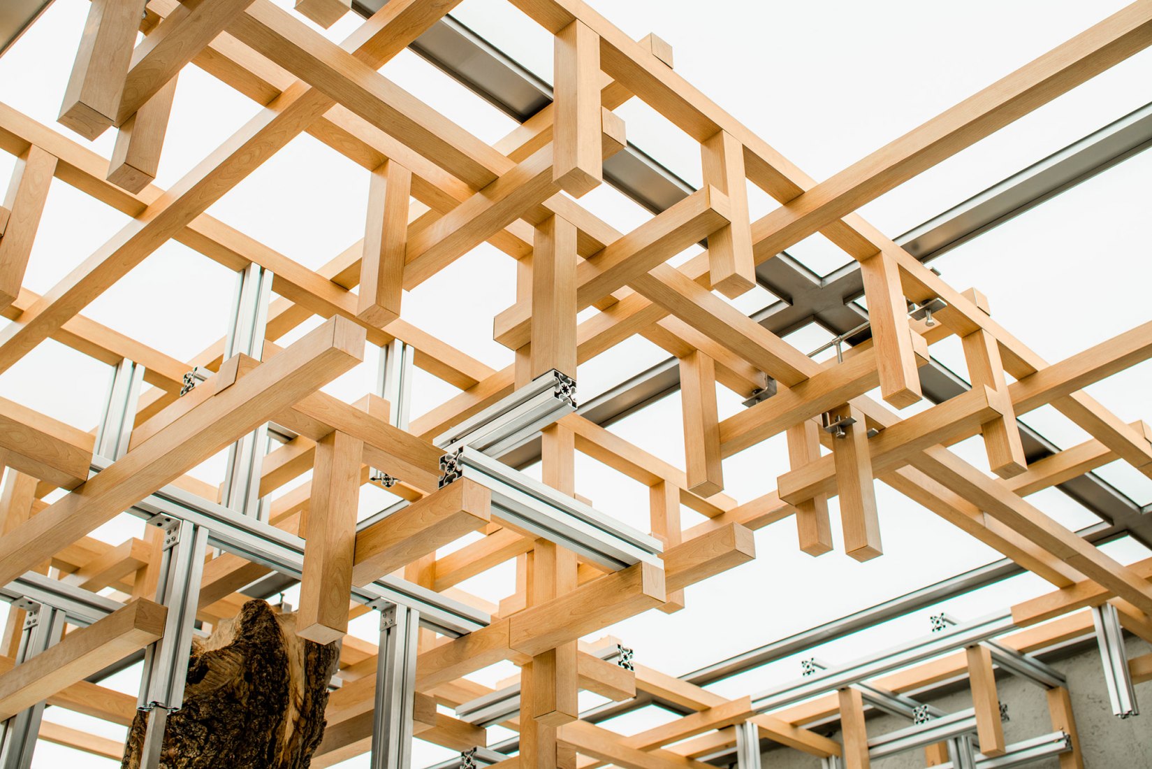 A throbbing element as the main core. BABAMA Concept Store by ...