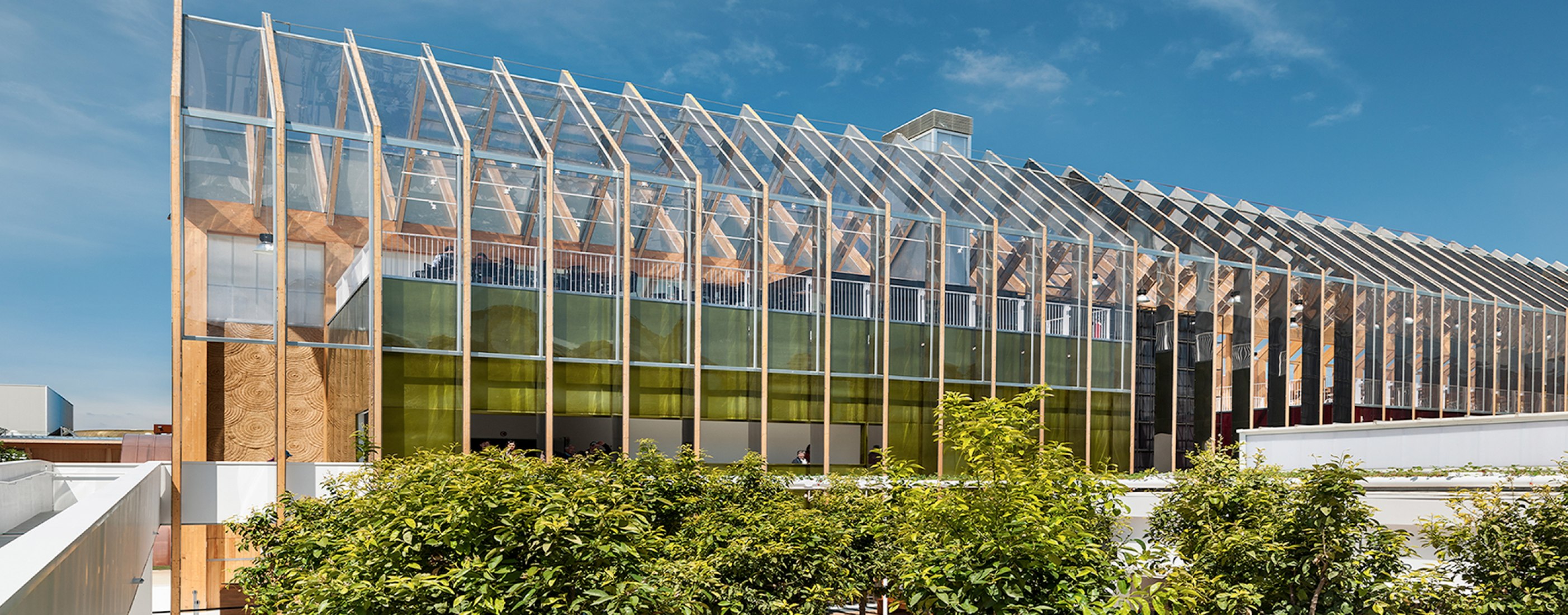 Spanish Pavilion at 2015 Expo Milano by b720 | The Strength of ...