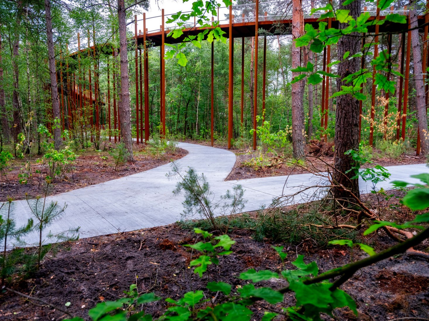 Circular Cycling Through the Trees by BuroLandschap and De Gregorio ...