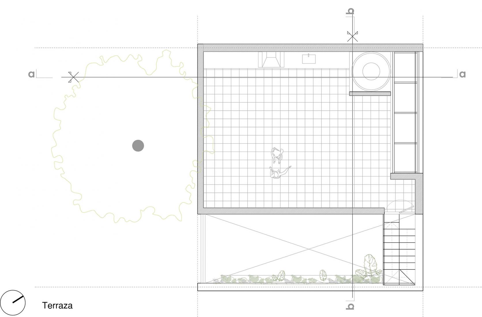 Renovation inspired by the main tree. Olive Tree House by Carlos A ...