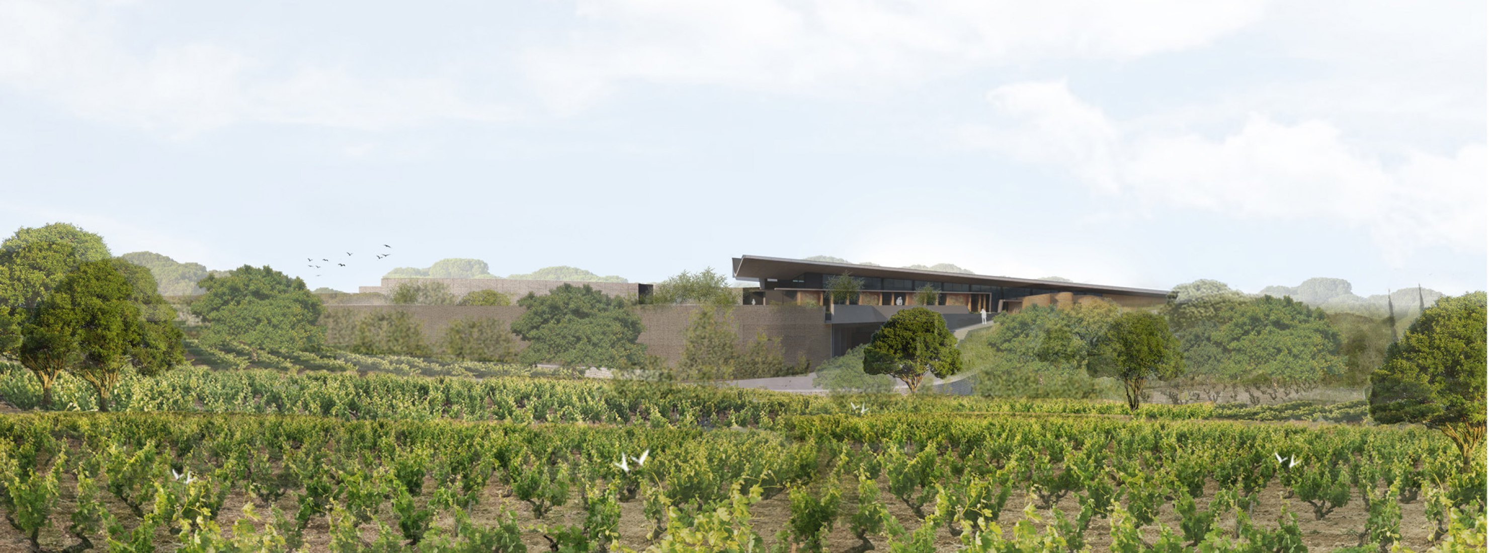 Carme Pinós designs the new Bodegas LA HORRA | The Strength of ...