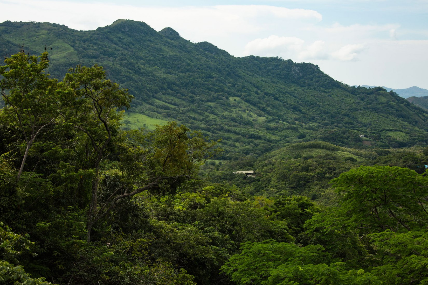 Moving between the landscape. House in Cope by Patrick Dillon | The ...