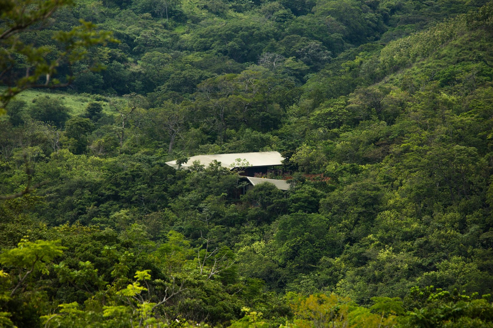 Moving between the landscape. House in Cope by Patrick Dillon | The ...