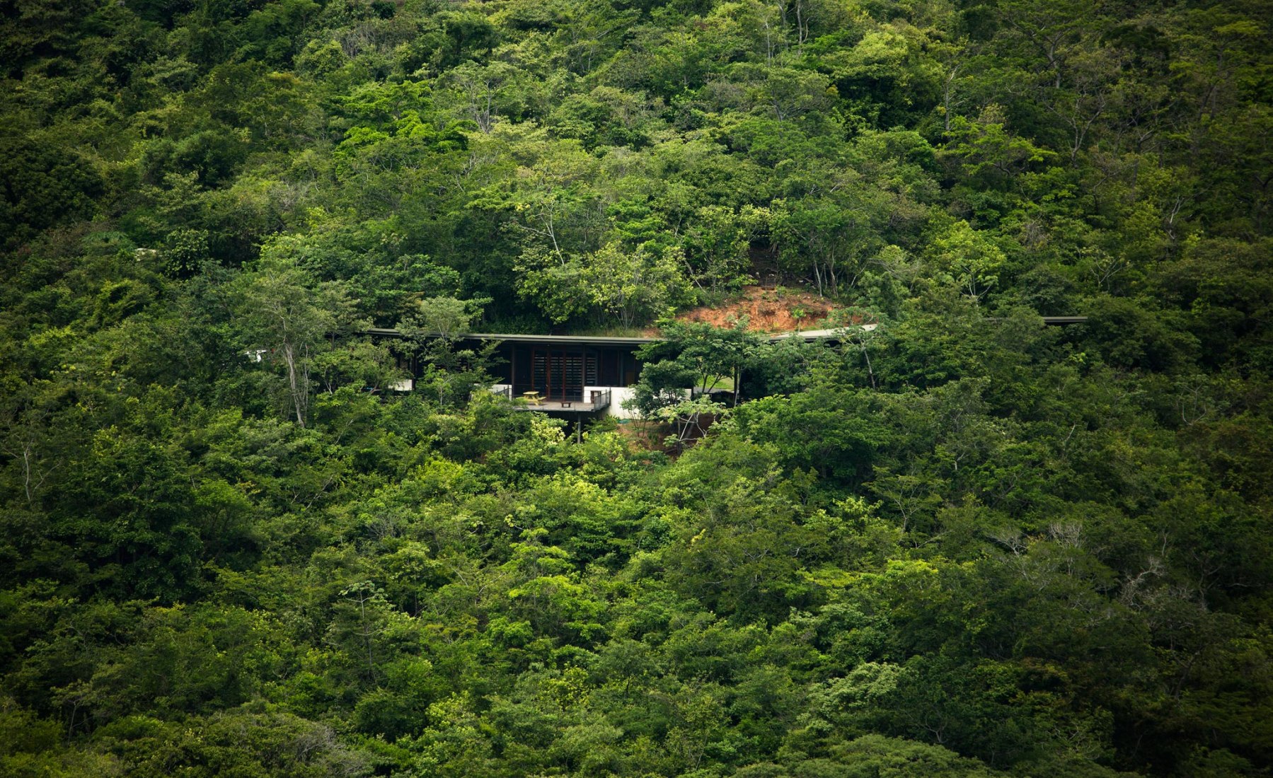 Moving between the landscape. House in Cope by Patrick Dillon | The ...