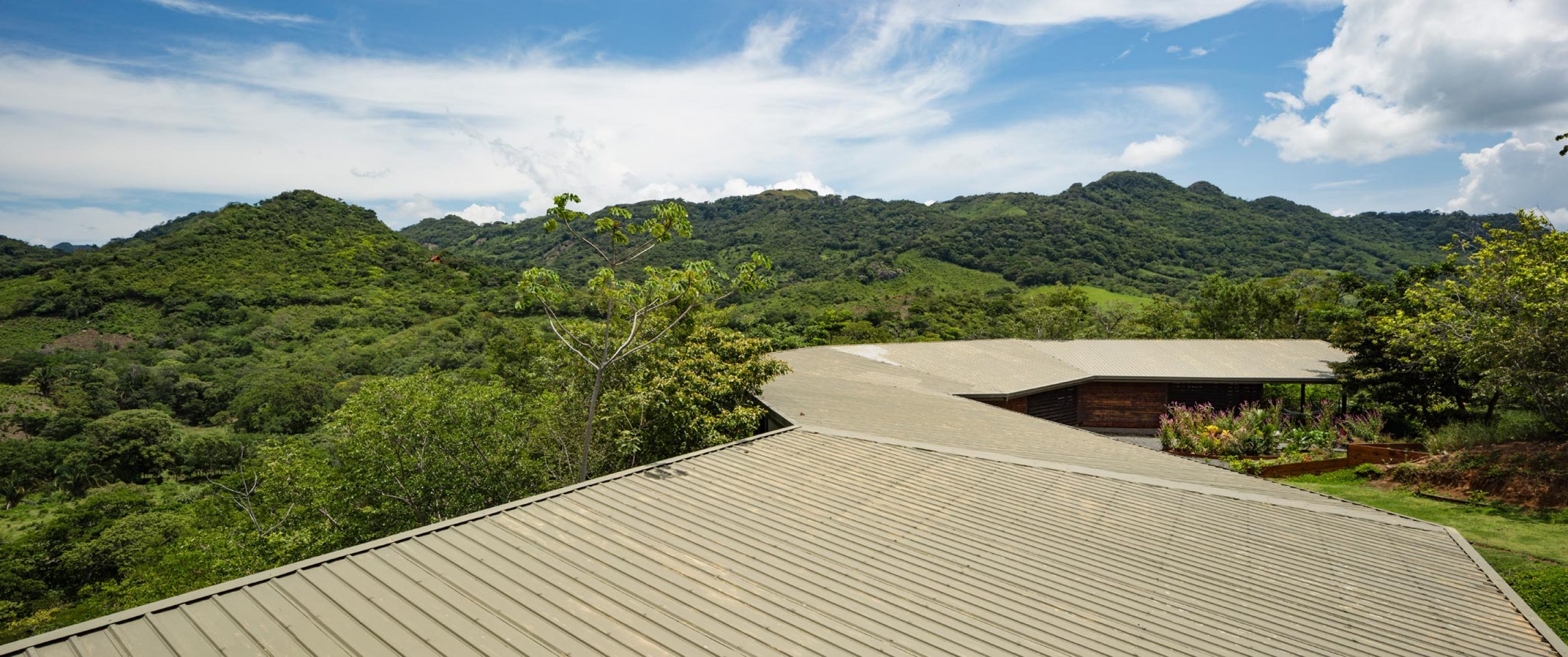 Moving between the landscape. House in Cope by Patrick Dillon | The ...