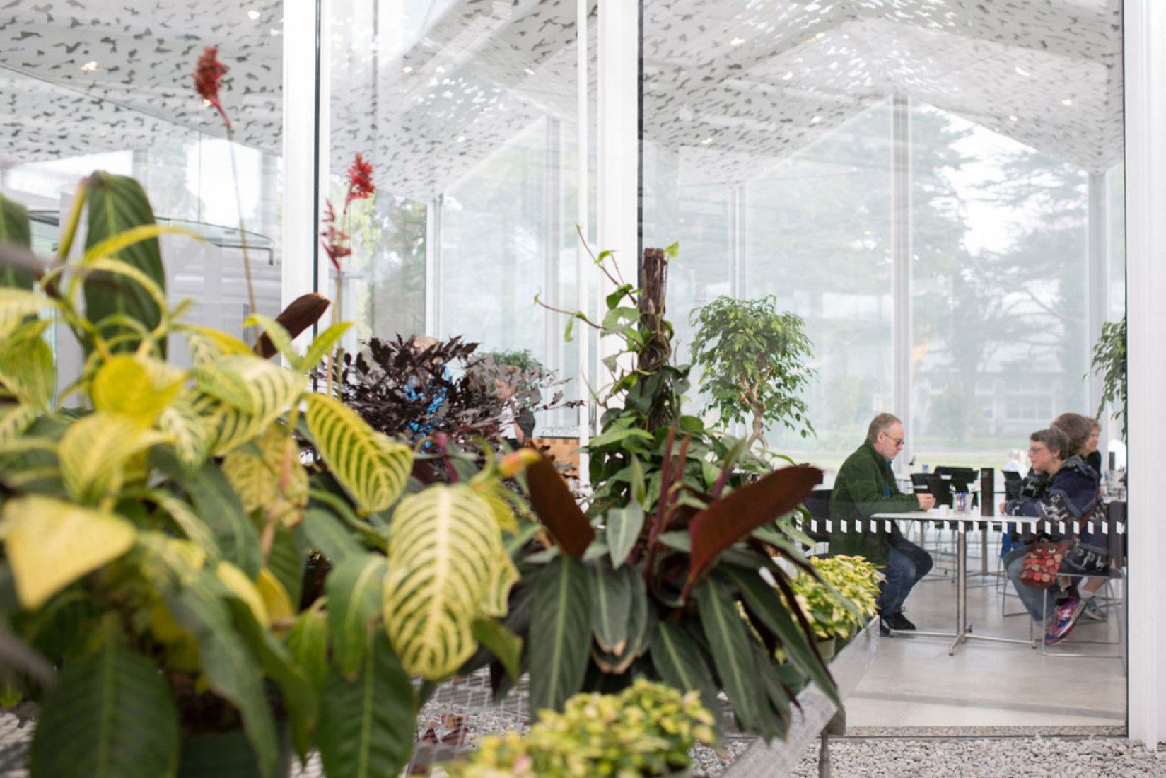 Christchurch Botanic Gardens Visitor's Centre by Patterson Associates ...