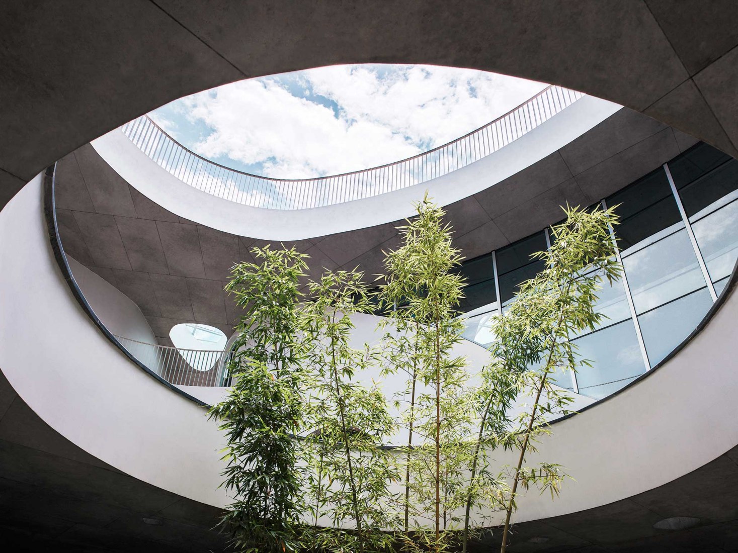 Nature as a representation of architecture. Longquan Well-Chengdu ...