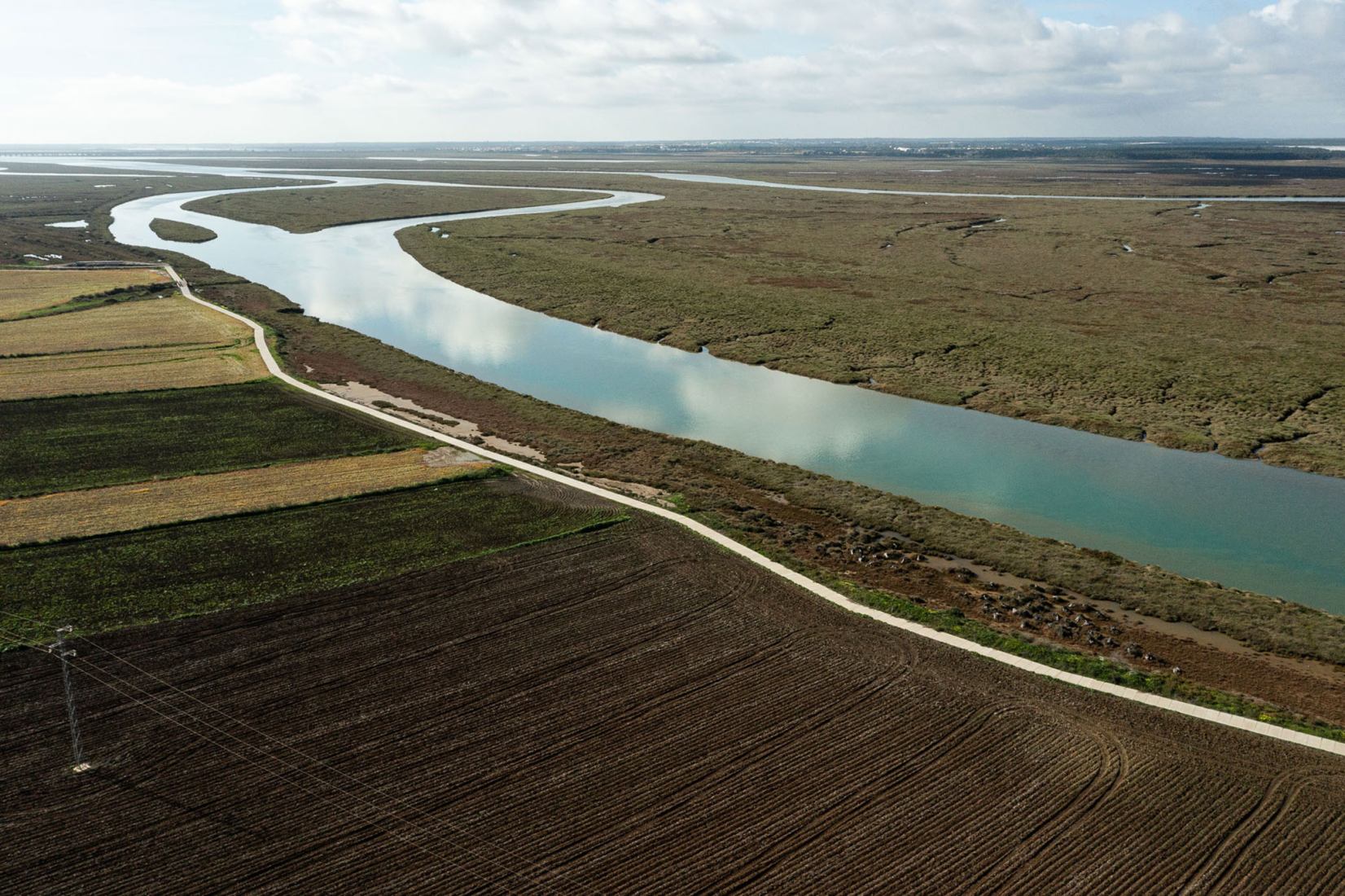 Wrapping the marsh: Landscape itinerary around the northern Odiel ...