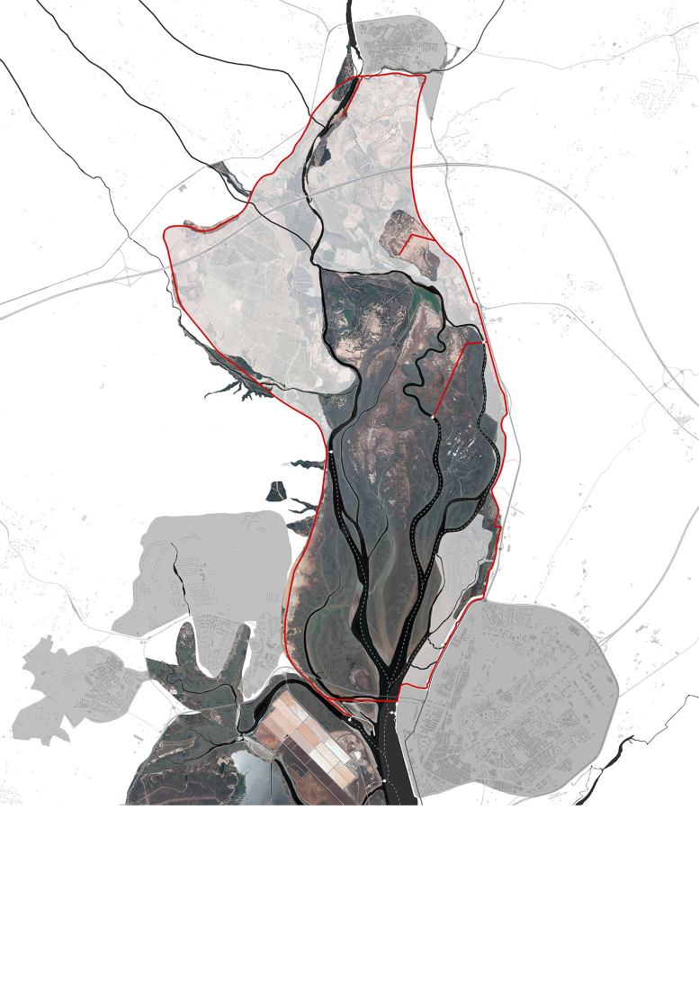 Wrapping the marsh: Landscape itinerary around the northern Odiel ...