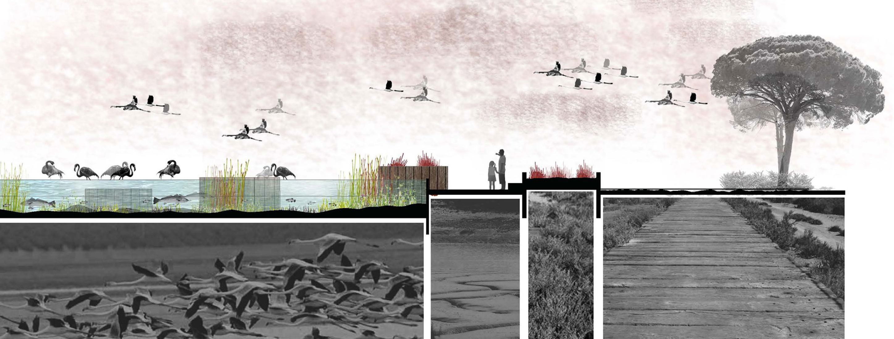 Wrapping the marsh: Landscape itinerary around the northern Odiel ...