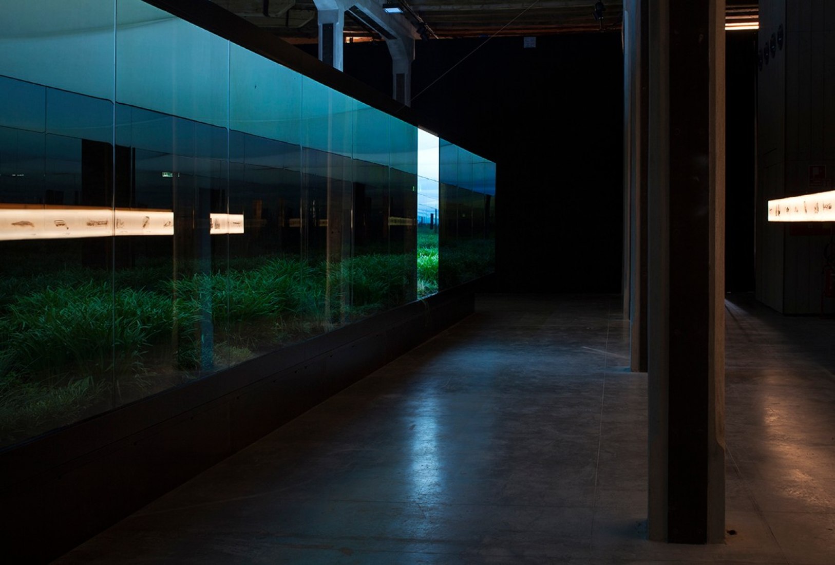 Horizontal Vertigo. Argentine pavilion for the Biennale Architettura di ...