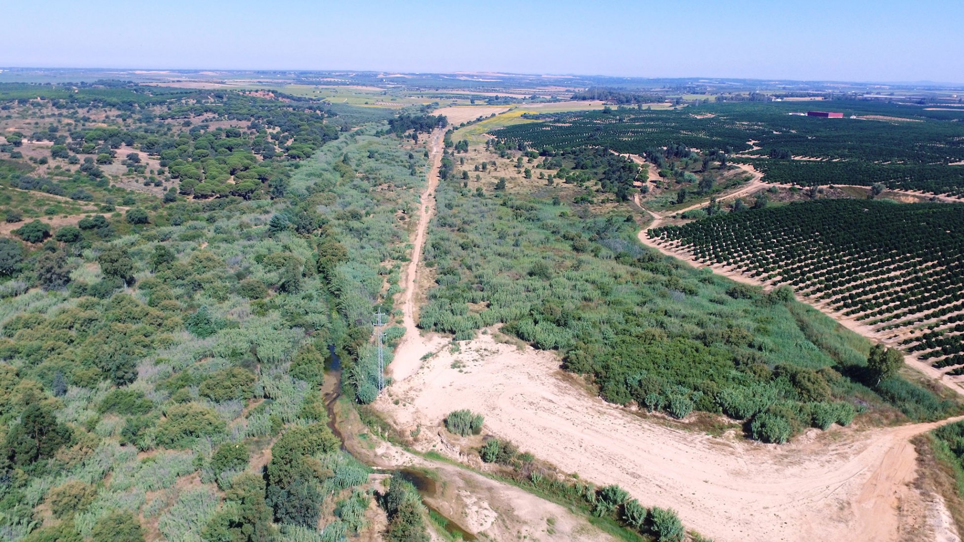 Envolviendo la marisma. Itinerario paisajístico en torno al Estuario ...