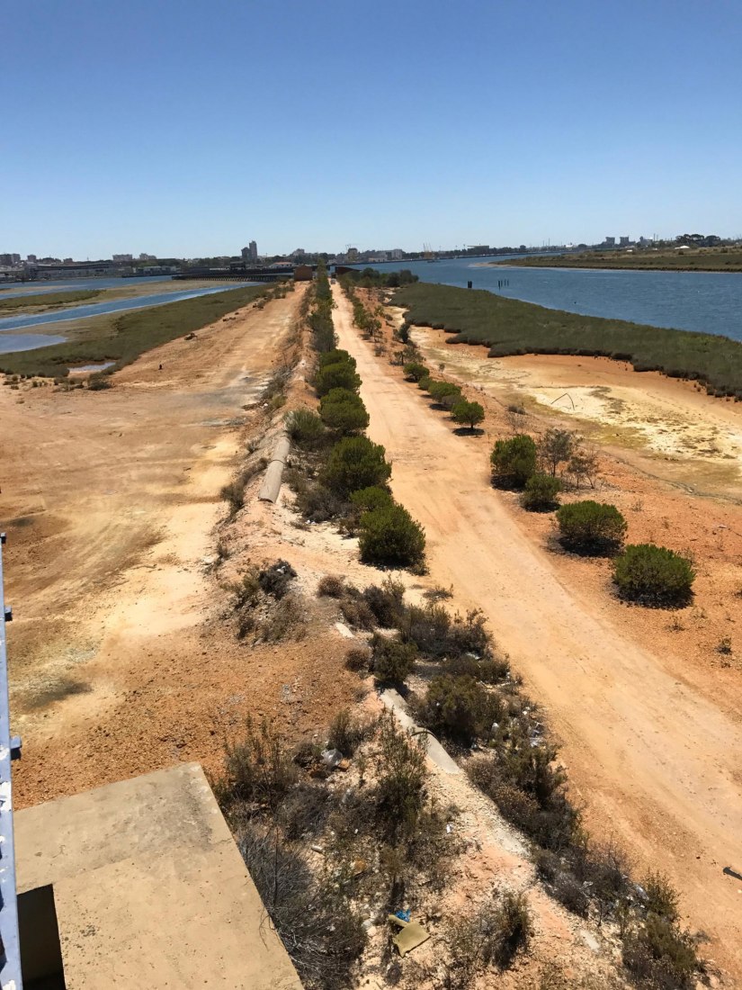 Envolviendo la marisma. Itinerario paisajístico en torno al Estuario ...