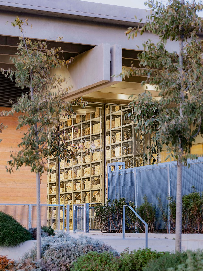 Archeology and ancient history in a contemporary context. Narbo Via by ...